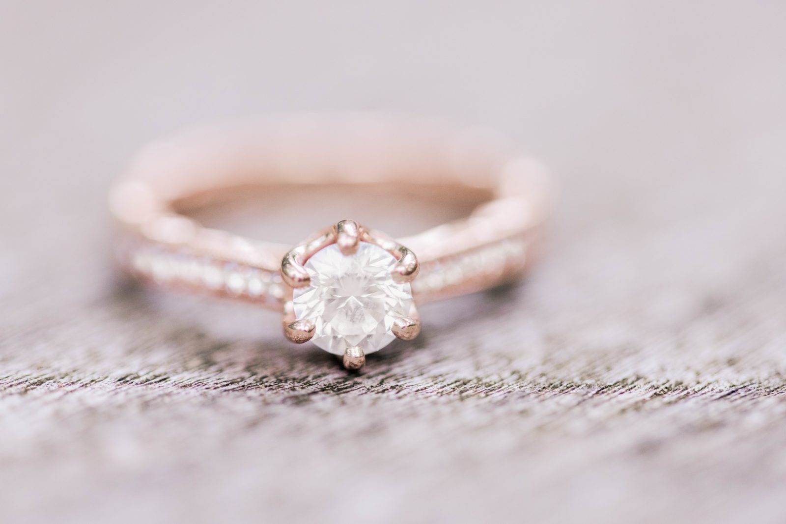 Jasmine + Brandon | Mt. Airy Forest Spring Engagement Session - Engagement